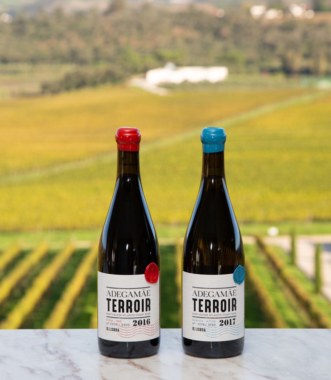 Unique Atlantic Terroir - M&A Creative Agency