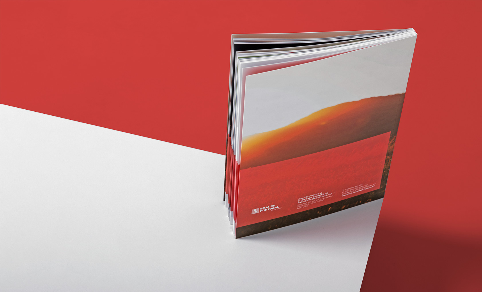 Editorial design - M&A Creative Agency