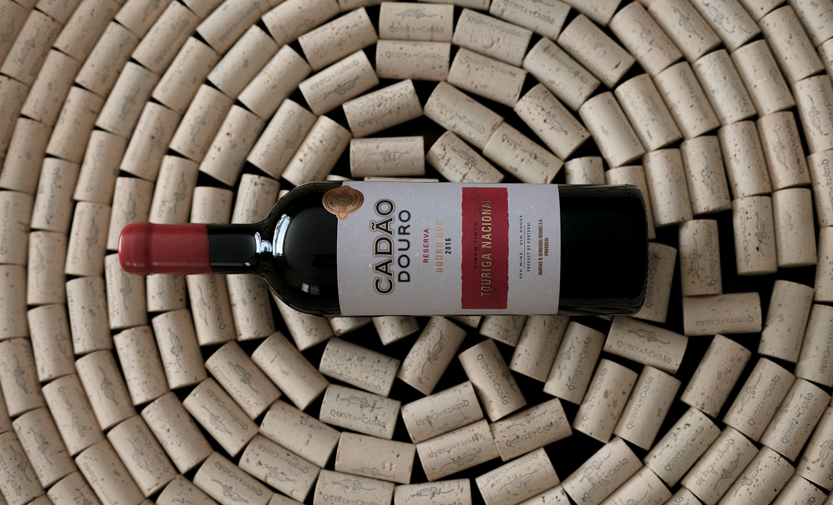 Cadão Porto - M&A Creative Agency