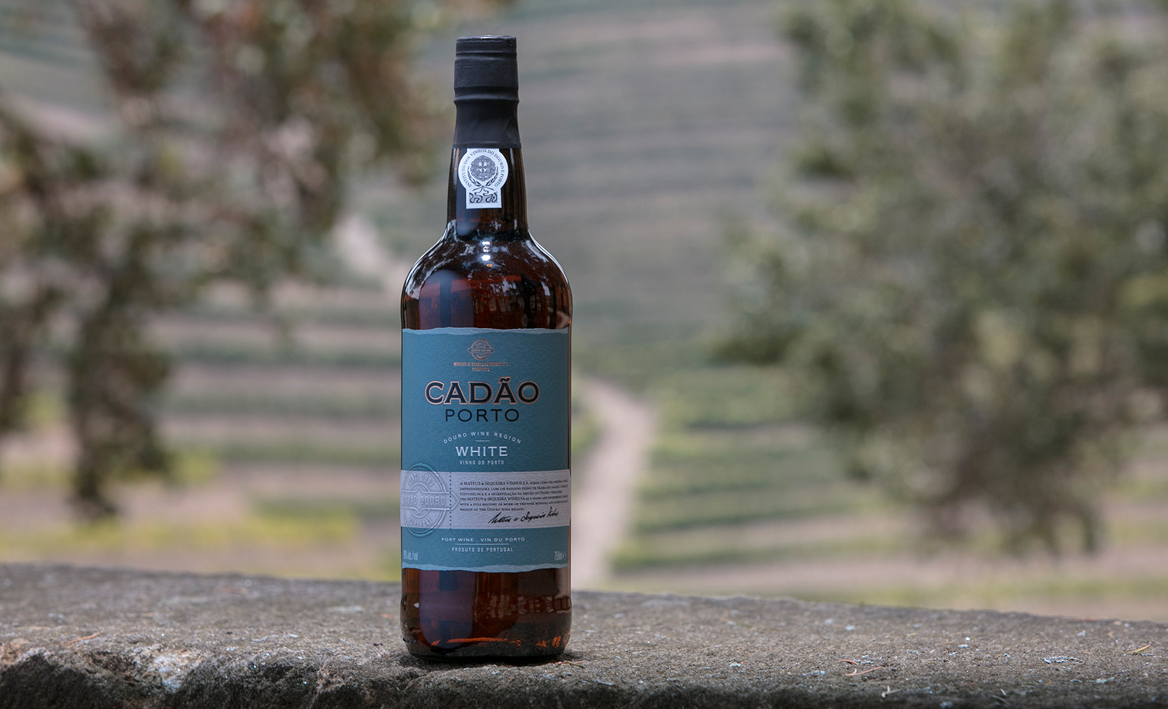 Cadão Porto - M&A Creative Agency