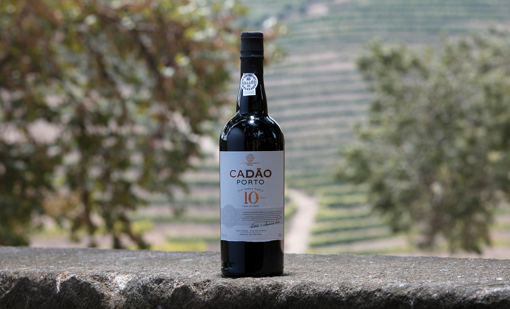 Cadão Porto - M&A Creative Agency