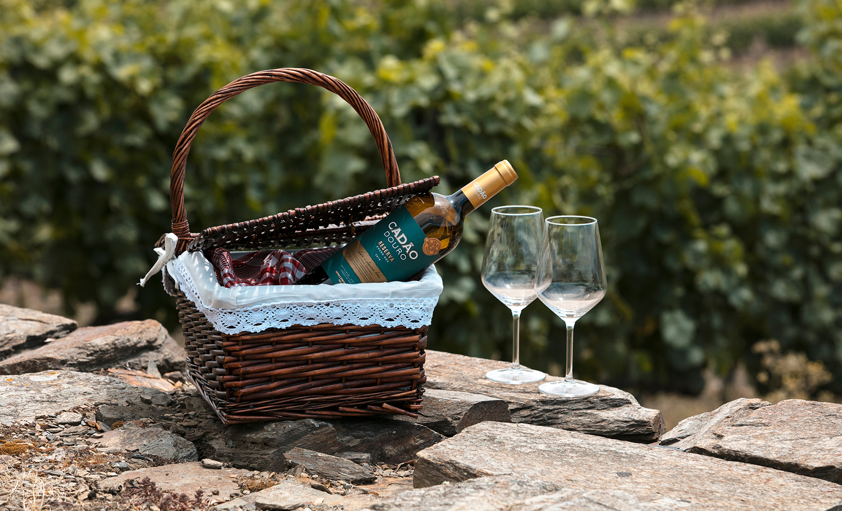 Cadão Porto - M&A Creative Agency